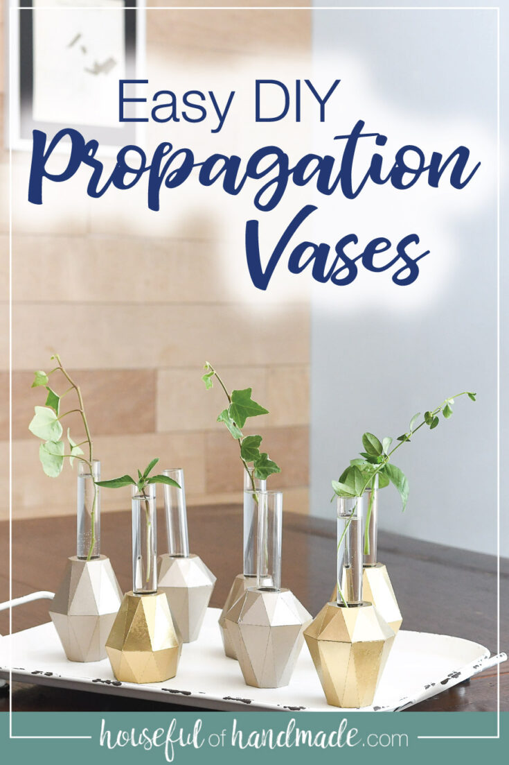 Jeweled Test Tube Propagation Vases • Crafting my Home