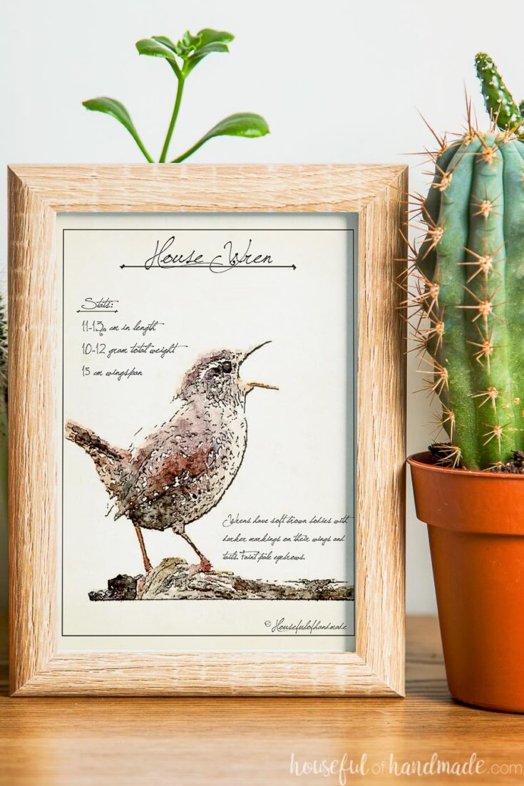 Spring Bird Sketches Printable Art • Crafting my Home
