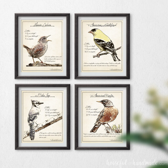Spring Bird Sketches Printable Art • Crafting my Home