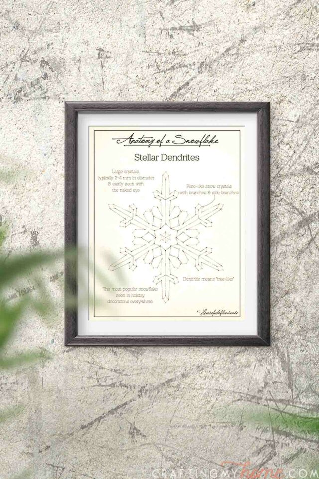 Anatomy of a Snowflake Printable Art • Crafting my Home