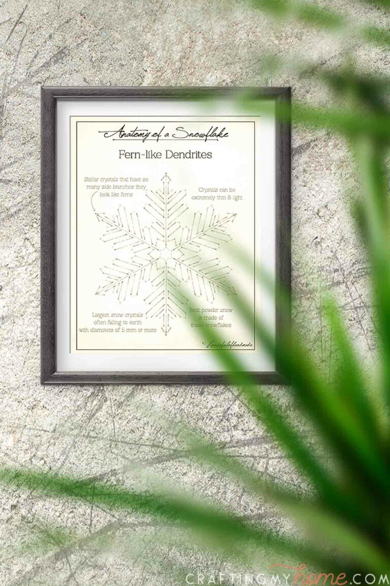 Anatomy of a Snowflake Printable Art • Crafting my Home