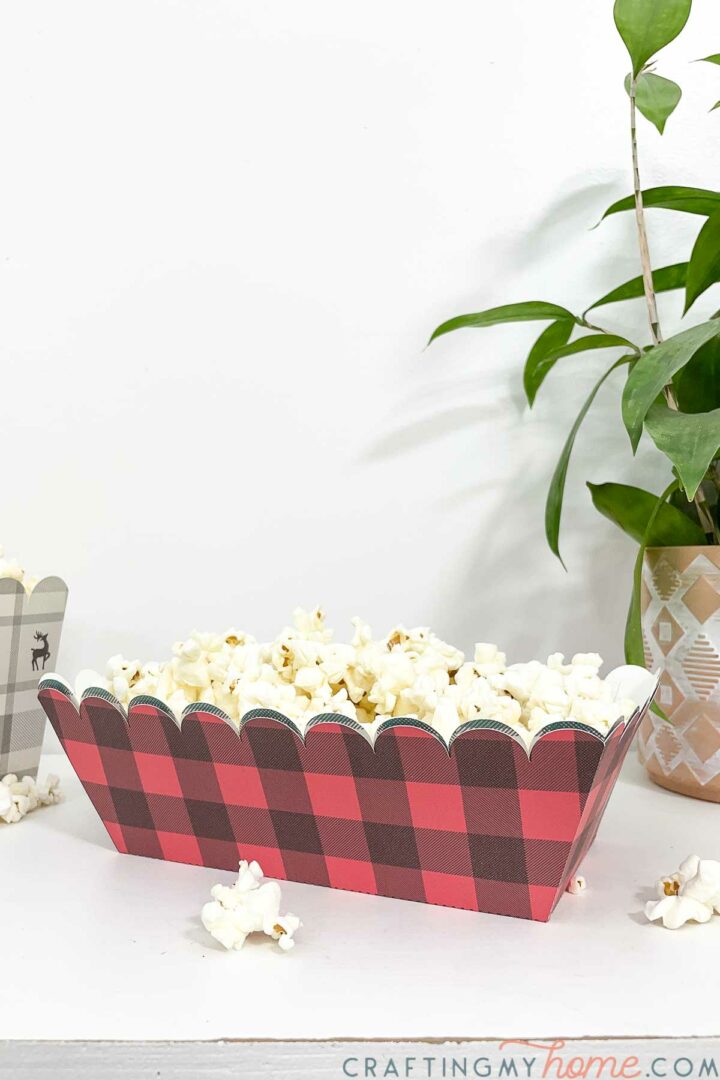 Plaid Paper Food Trays • Crafting my Home